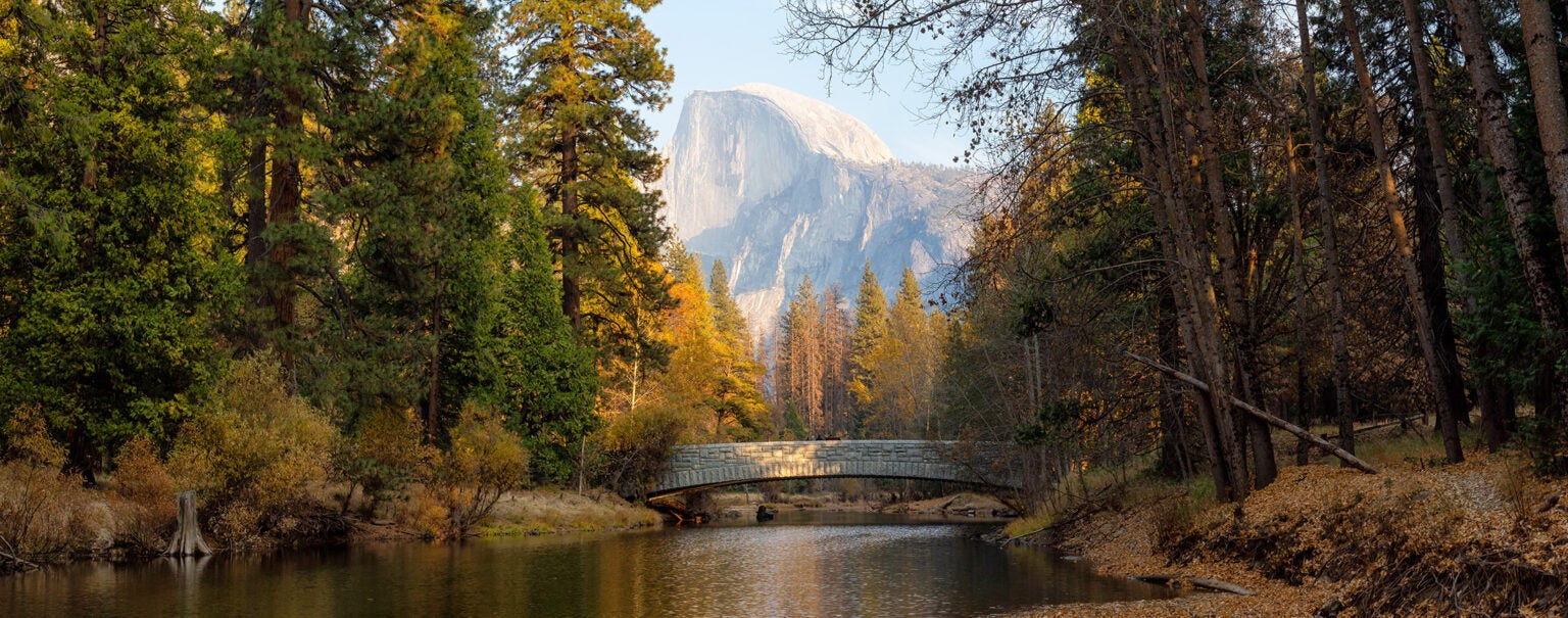 Yosemite Area Regional Transportation System