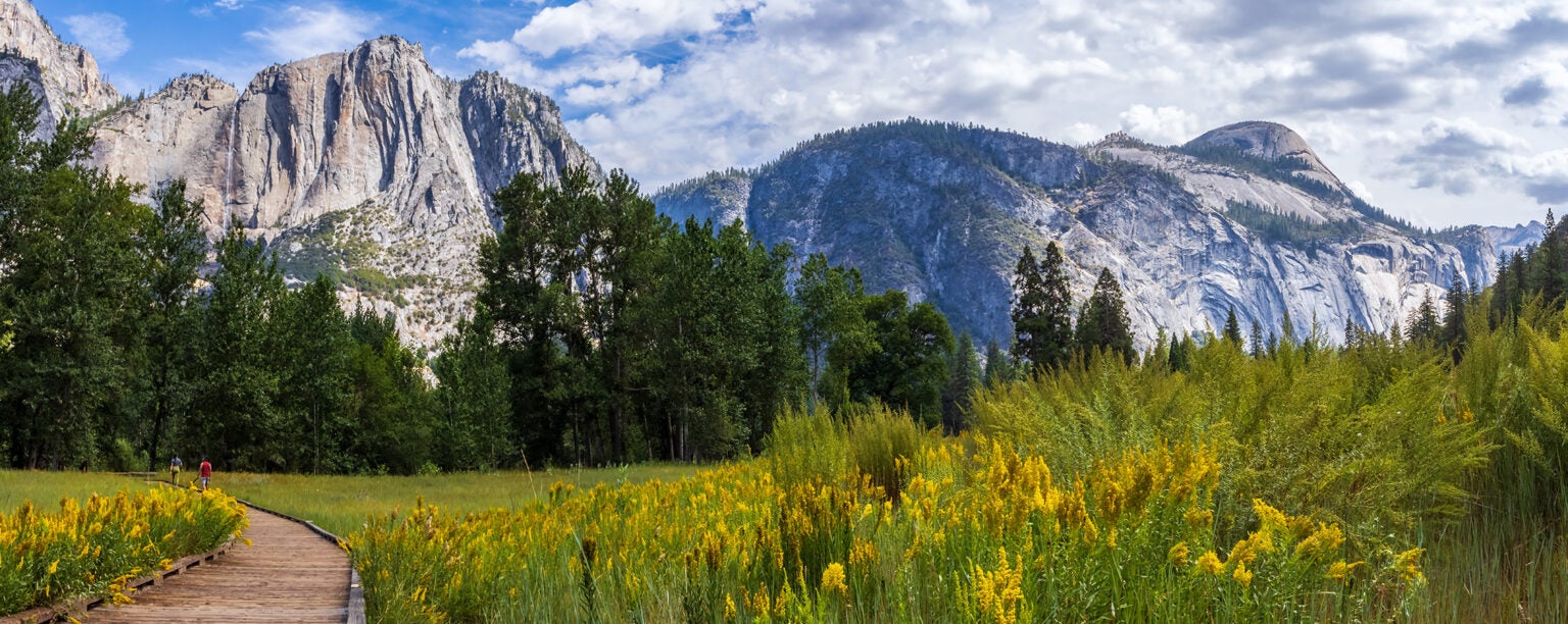 Yosemite Area Regional Transportation System